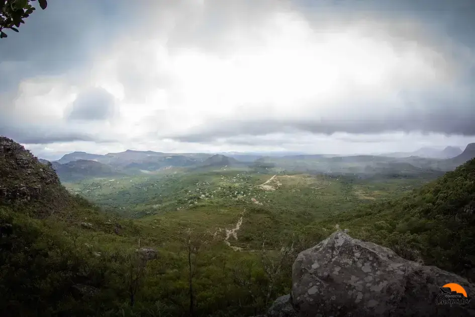 Fauna Na Chapada Diamantina: Descubra A Diversidade Selvagem